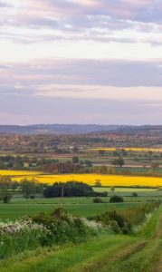 Carp, Ontario - Neighbourhood Guide - Homes, Community, Schools & Parks